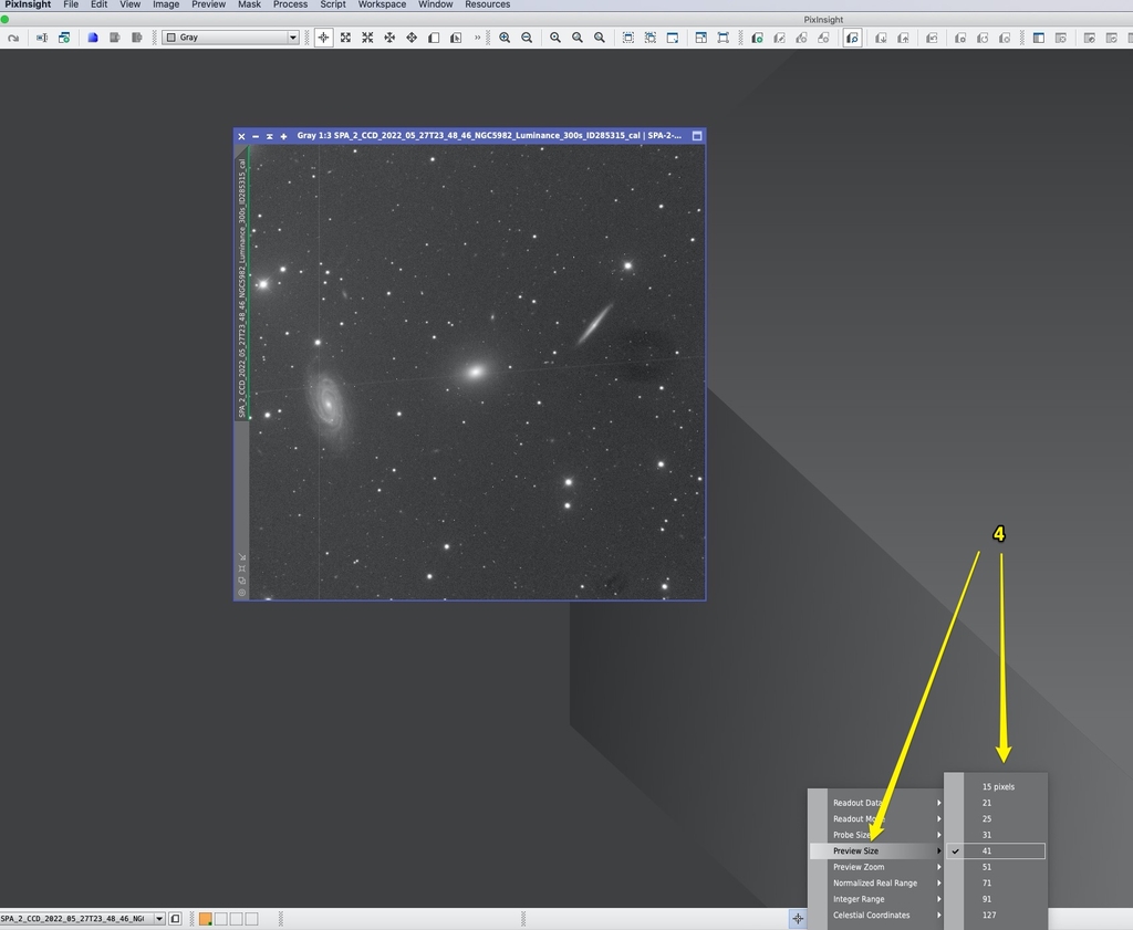 Pixinsight Readout Data Preview Telescope Live